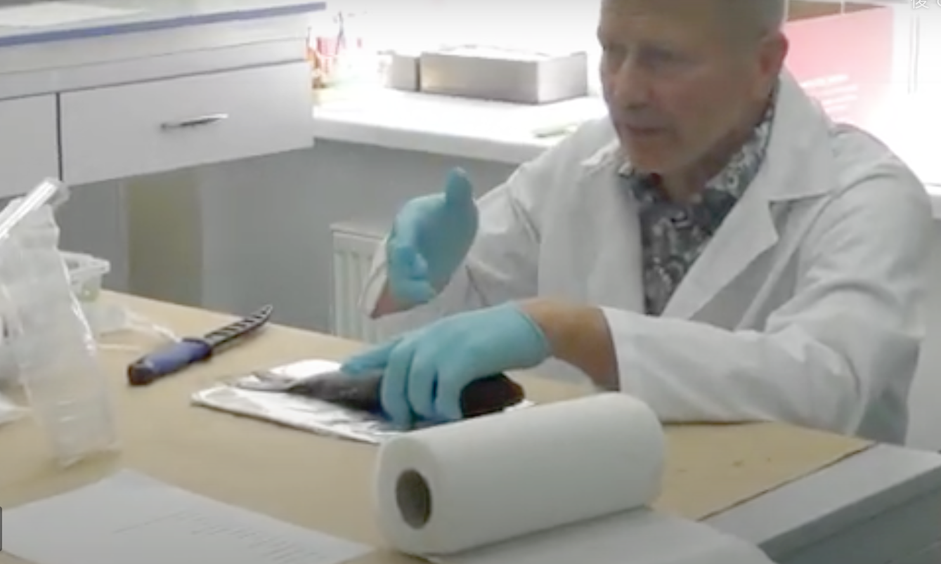 PARTICLE HUNTING IN SOIL AND SEDIMENTS, AUTORADIOGRAPHY, FISH SAMPLING ...